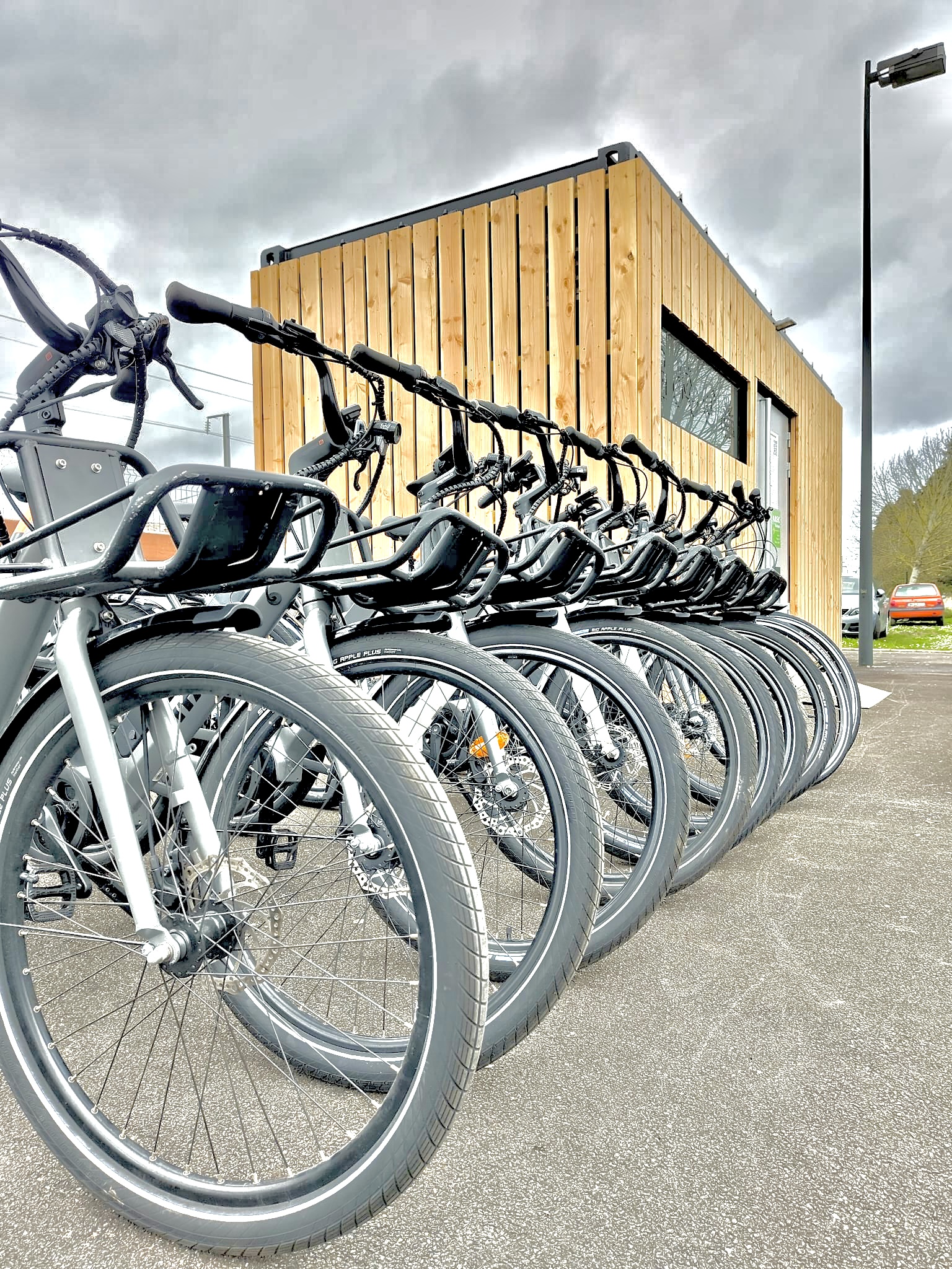 Location de vélo : comment organiser une sortie en famille sans prise ...